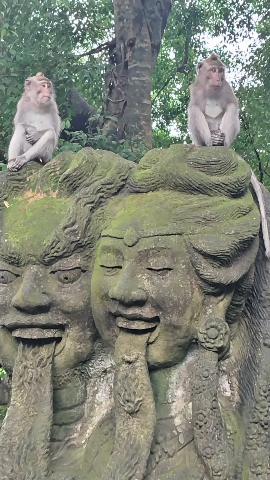 Monkey Forest in Ubud, Bali: An Adventure Interacting with Monkeys in a Mystical Forest - 旅を住処とす ...